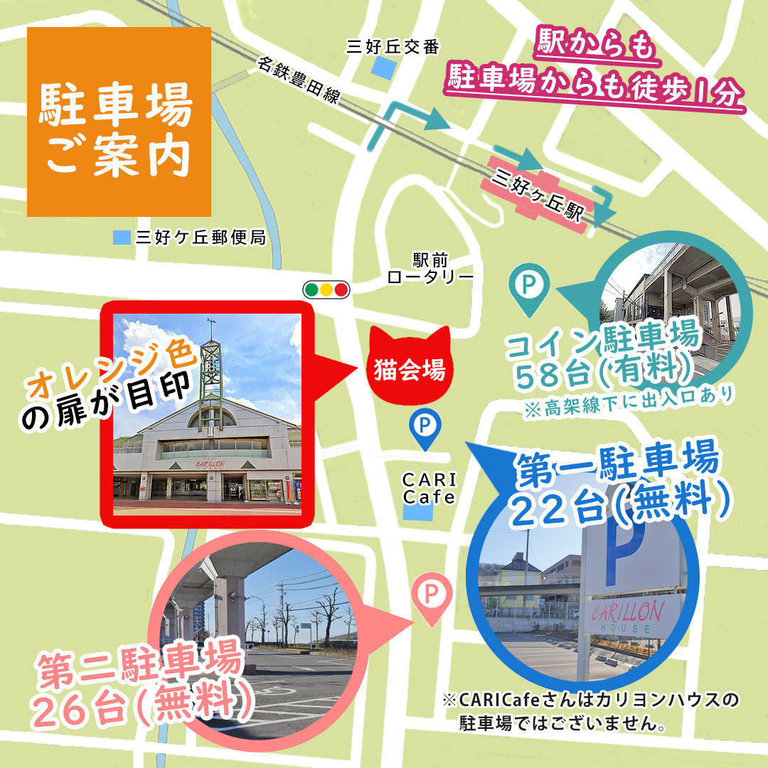 約30匹のねこ・ネコ・猫★みよし市: NPO法人三好ネコの会公式ブログ